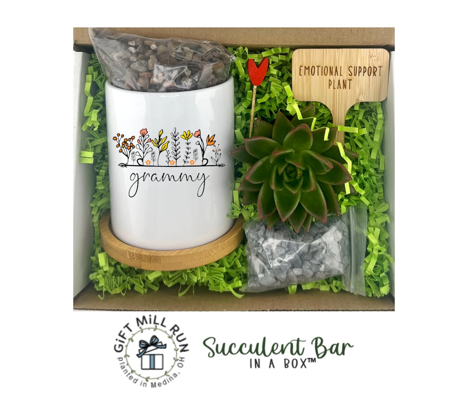 Succulent Bar in a Box™ - A unique gift that doesn't SUCC! | Gift Mill Run